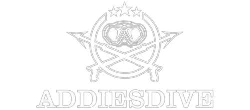 Loja Addiesdive - Seu Próximo Relógio Está Aqui